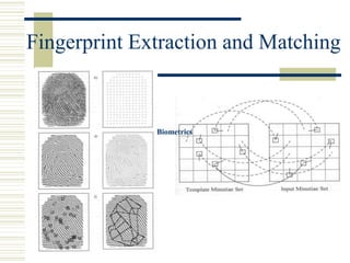 fingerprint_ information _technology.ppt