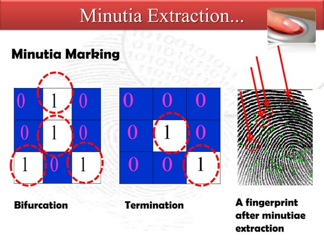 Fingerprint, seminar at IASRI, New Delhi | PPT
