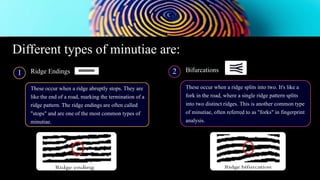 Fingerprint-Types-A-Comprehensive-Exploration.pptx