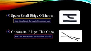 Fingerprint-Types-A-Comprehensive-Exploration.pptx