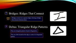 Fingerprint-Types-A-Comprehensive-Exploration.pptx