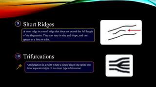 Fingerprint-Types-A-Comprehensive-Exploration.pptx
