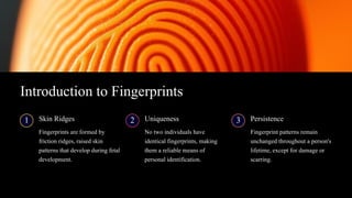 Fingerprint-Types-A-Comprehensive-Exploration.pptx