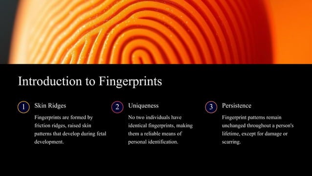 Fingerprint-Types-A-Comprehensive-Exploration.pptx