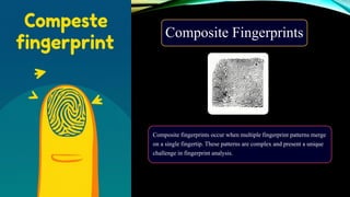 Fingerprint-Types-A-Comprehensive-Exploration.pptx