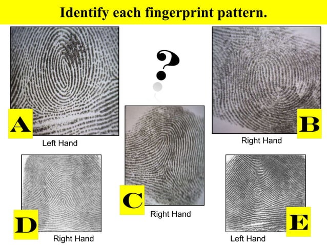 Fingerprint101 | PPT