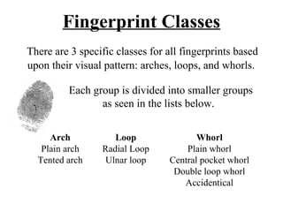 Fingerprint | PPT