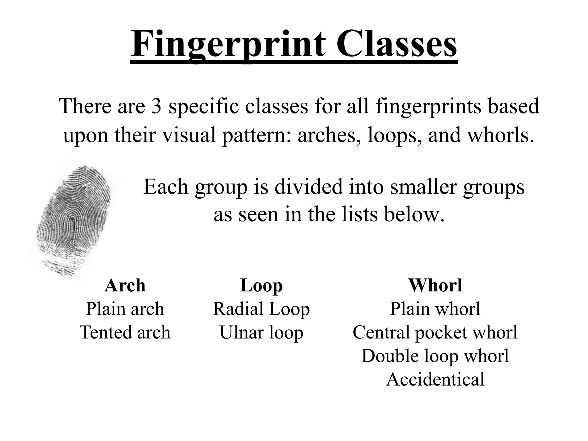 Fingerprint101 | PPT