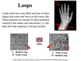 Fingerprint101 | PPT