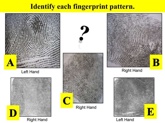 Fingerprint101 | PPT