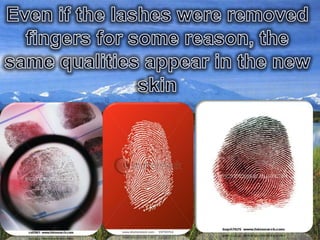 Fingerprint by dr.mtooof | PPTX