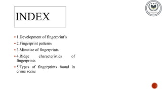 fingerprint characteristics | PPTX