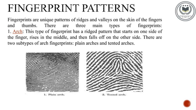 fingerprint characteristics | PPTX