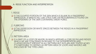 FINGERPRINT CHARACTERISTICS AND FORMATION - Copy.pptx | Geography | Science