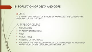 FINGERPRINT CHARACTERISTICS AND FORMATION - Copy.pptx | Geography | Science