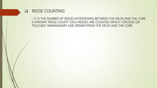 FINGERPRINT CHARACTERISTICS AND FORMATION - Copy.pptx | Geography | Science