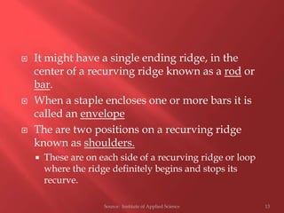Fingerprint classification rules | PPTX