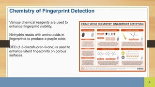 Fingerprint_Detection_Method_And_Use_Of_Chemistry[1] GUDU.pptx