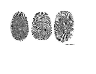 FINGERPRINT FINGERPRINT.docx