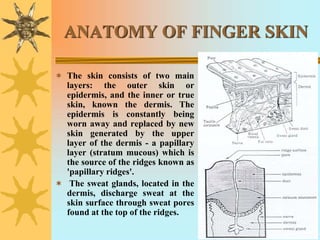 FINGER_PRINT_HISTORY.ppt