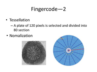 Fingerprint matching from minutiae texture maps -com | PPT
