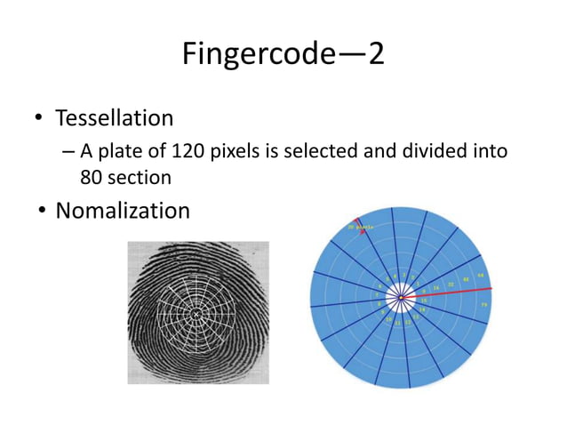 Fingerprint matching from minutiae texture maps -com | PPT
