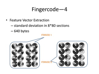 Fingerprint matching from minutiae texture maps -com | PPT