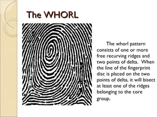 Fingerprint Pattern | PPT