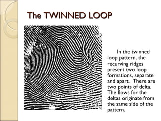 Fingerprint Pattern | PPT