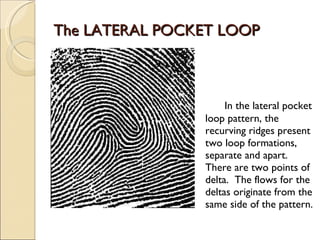 Composite Fingerprint