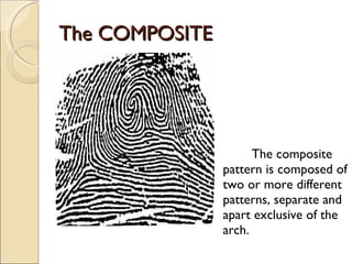 Composite Fingerprints