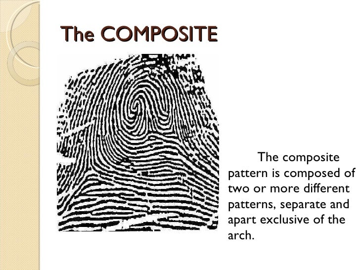 Fingerprint Pattern