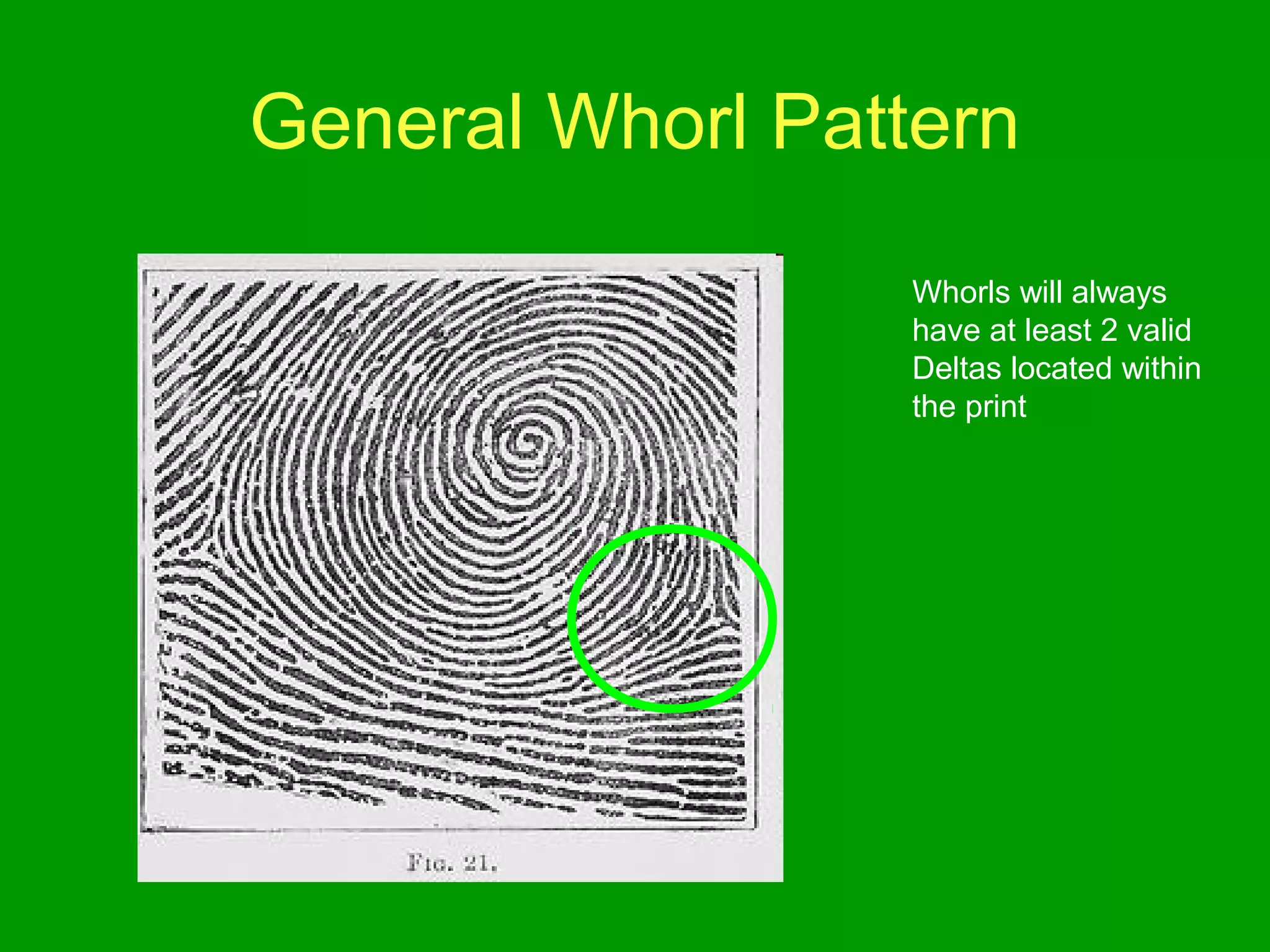 Fingerprint patterns | PPT