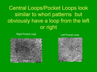 Fingerprint patterns | PPT