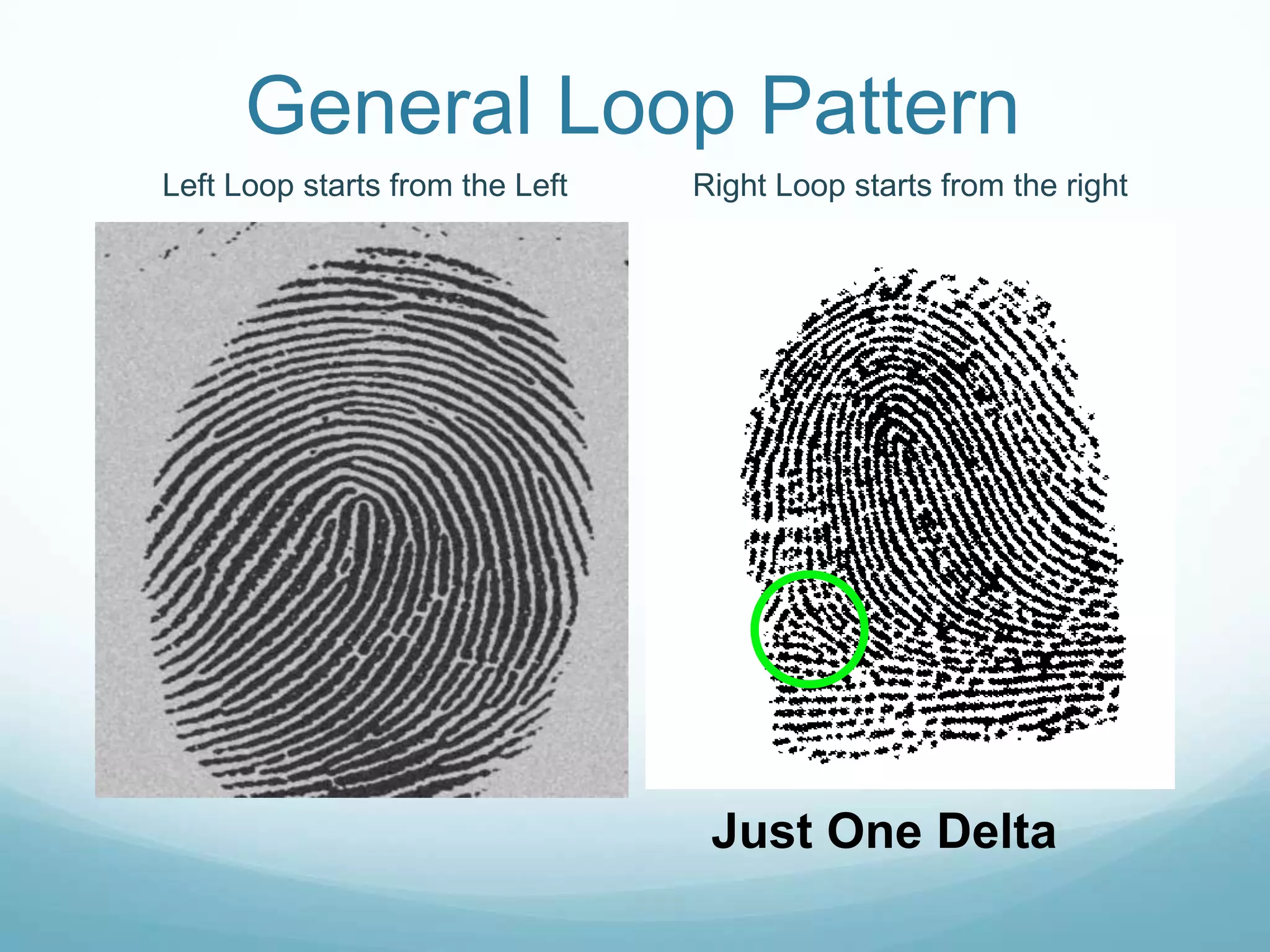 fingerprintpatterns-140402001230-phpapp02.pdf