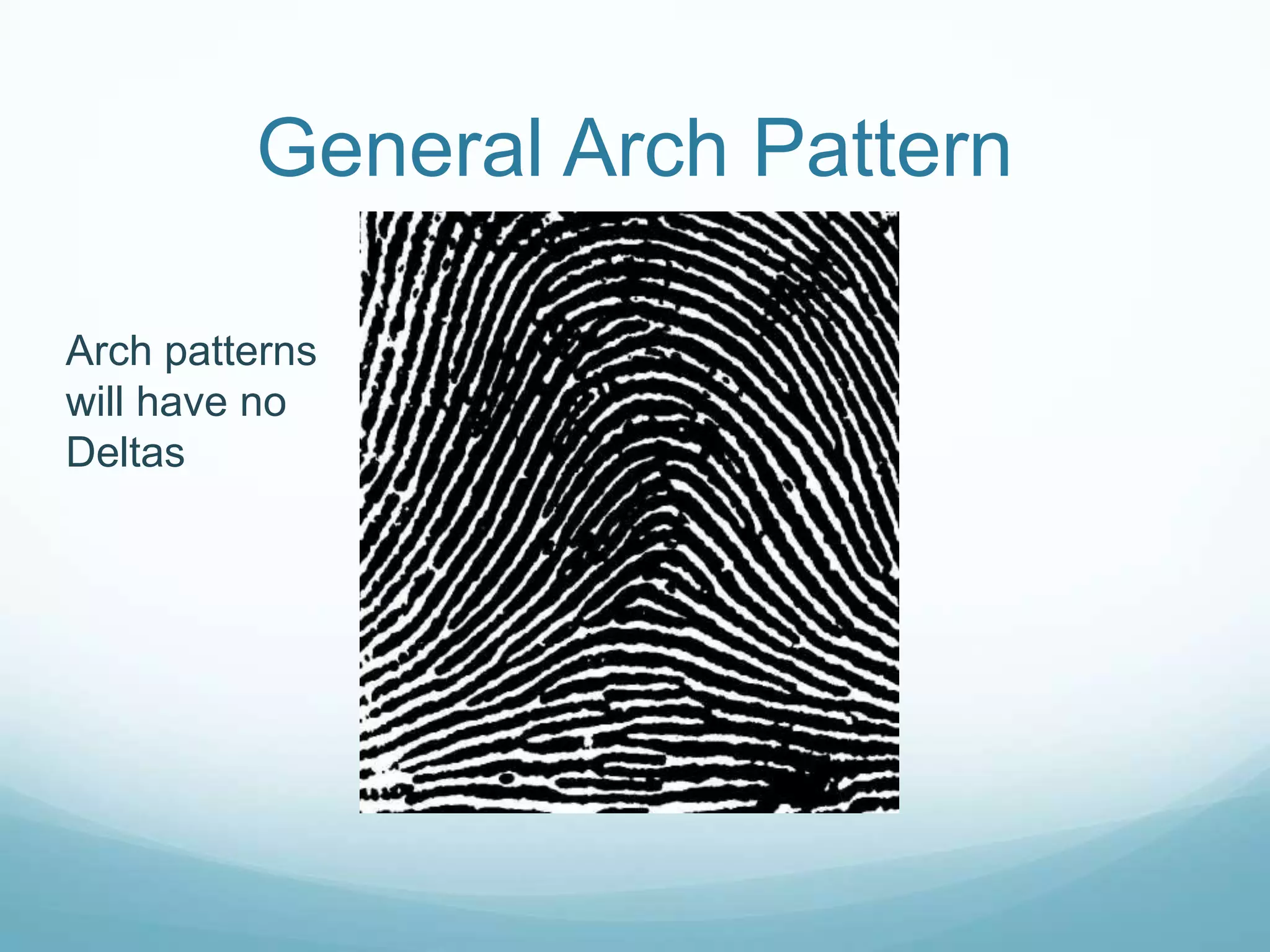 fingerprintpatterns-140402001230-phpapp02.pdf