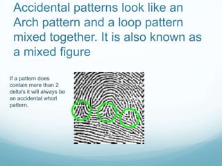 fingerprintpatterns-140402001230-phpapp02.pdf
