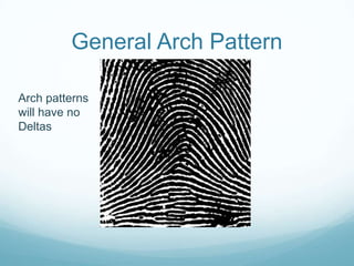 fingerprintpatterns-140402001230-phpapp02.pdf