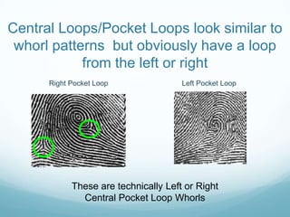 Fingerprint patterns | PPT