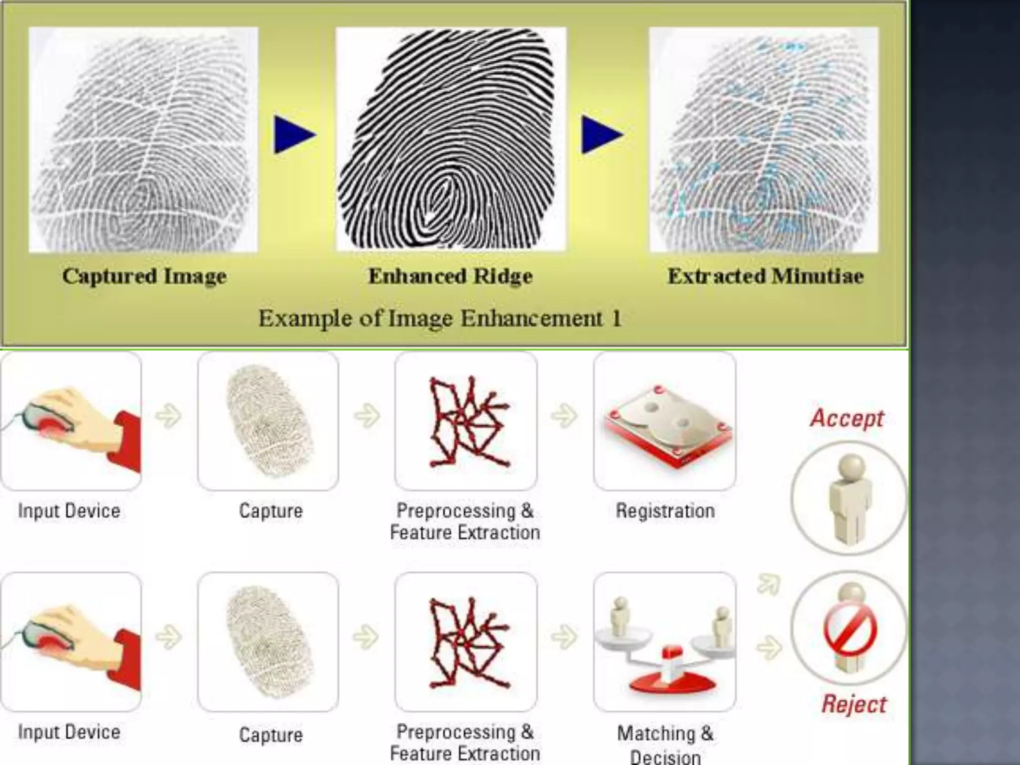 Fingerprint presentation | PPTX