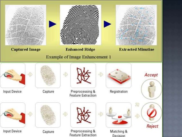 Fingerprint presentation | PPTX