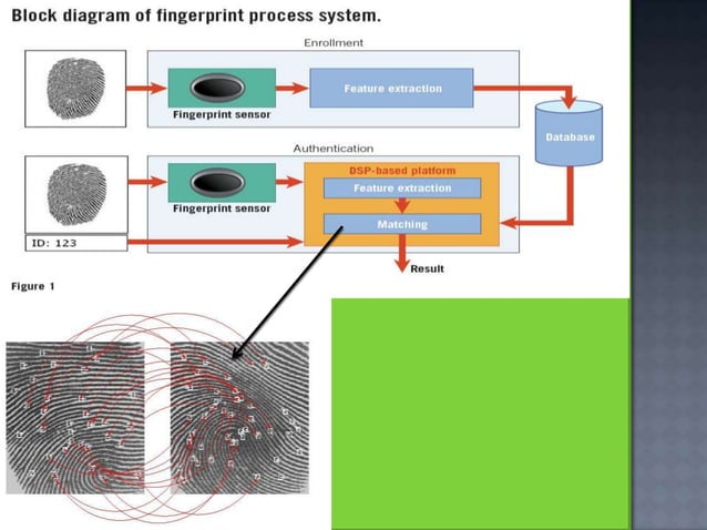 Fingerprint presentation | PPTX