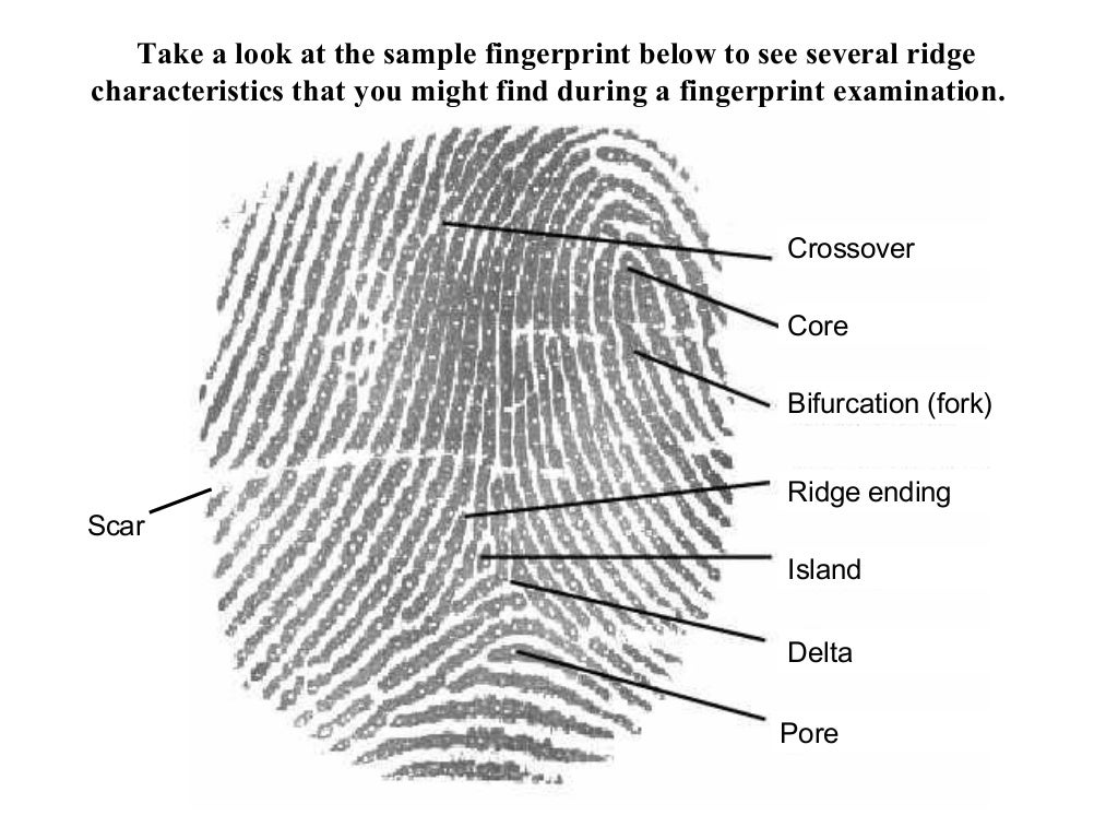 Fingerprint presentation...