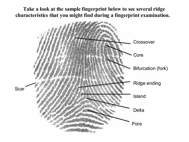 Fingerprint presentation...