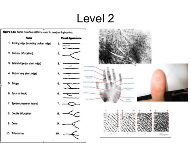 Fingerprint presentation...