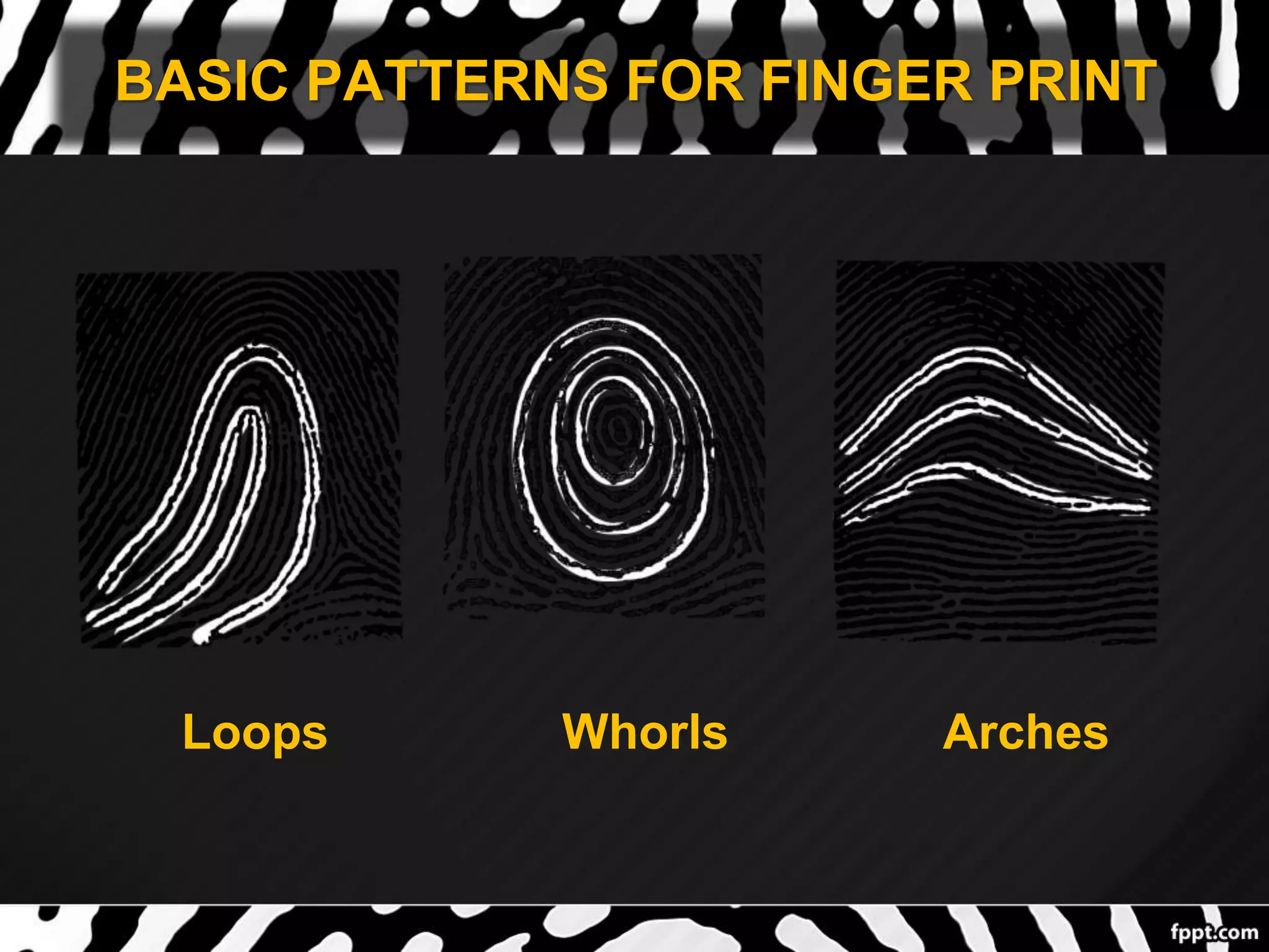 Finger print presentation by R Rajkumar | PPT