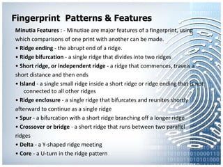 Fingerprint recognition | PDF
