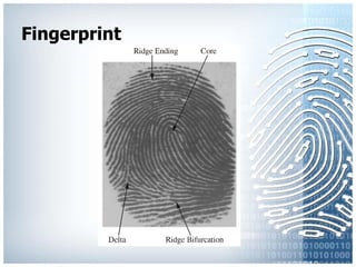 Fingerprint recognition | PDF