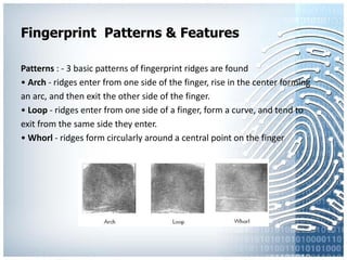 Fingerprint recognition | PDF