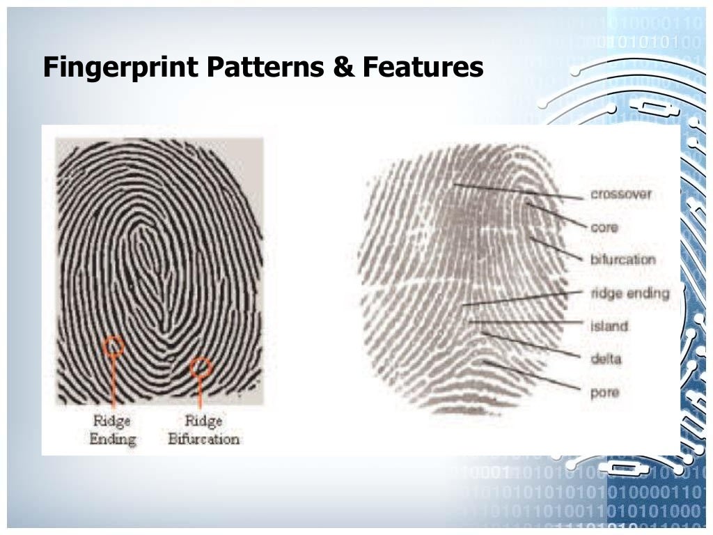 Fingerprint recognition